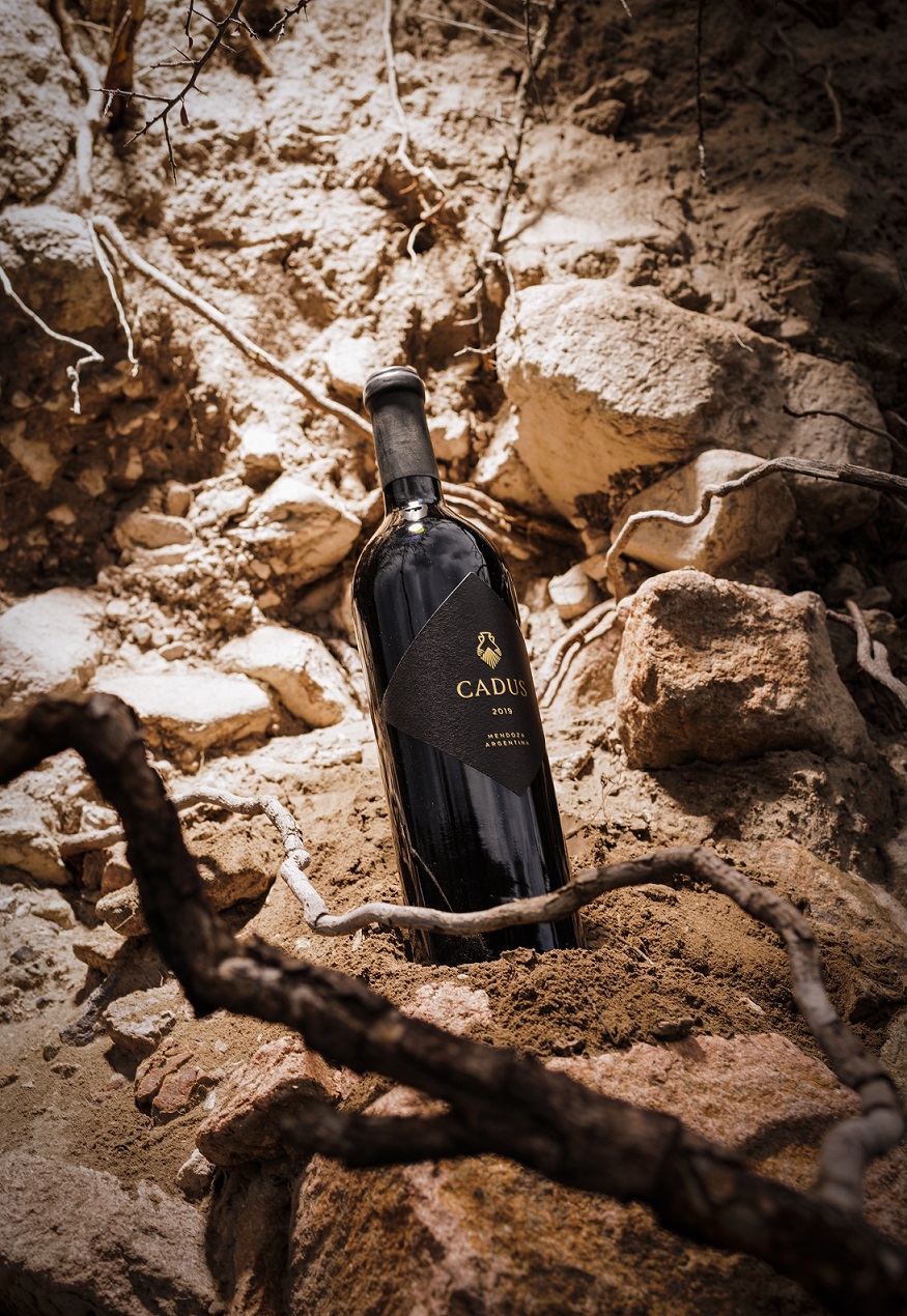 Cadus: nueva imagen, vinos y un ícono - sebarios.com.ar